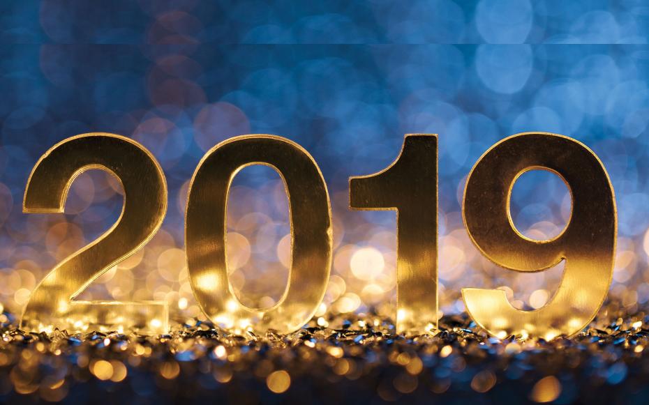 Meilleurs vœux 2019 - Elle & Vire